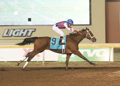 Rowdy Rascal - Horse Profile - BloodHorse