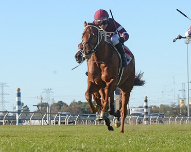 Red Run - Horse Profile - BloodHorse