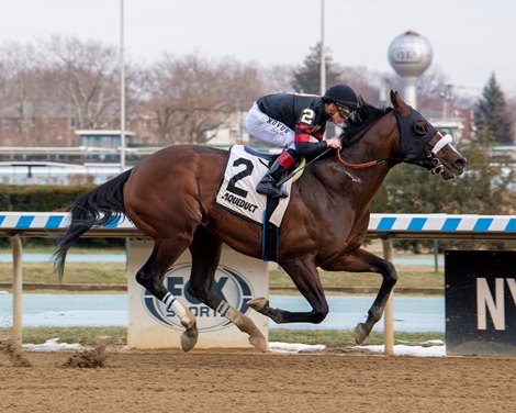 Green Light Go Returns to Stakes Action in Stymie - BloodHorse