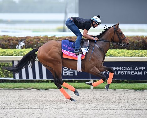 Eatontown, Monmouth Stakes Lure Talented Turf Fields - BloodHorse