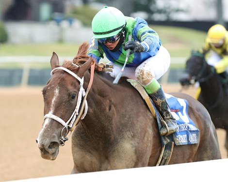 Fappiano Line Runs Strong in Secret Oath's Family Tree - BloodHorse