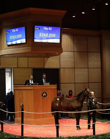 Early Action on City of Light, Gun Runner Yearlings - BloodHorse