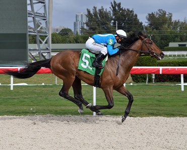 Smokin' T - Horse Profile - BloodHorse