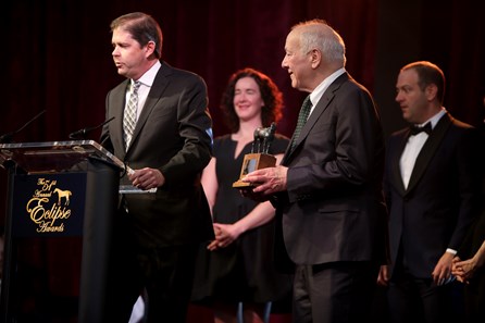 Echo Zulu - Horse Profile - BloodHorse