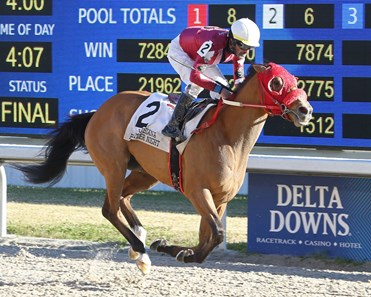 Vodka Gimlet - Horse Profile - BloodHorse