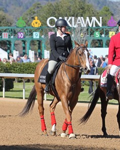 Whitmore - Horse Profile - BloodHorse