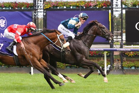 Hitotsu, Converge Land Grade 1s for International Sires - BloodHorse