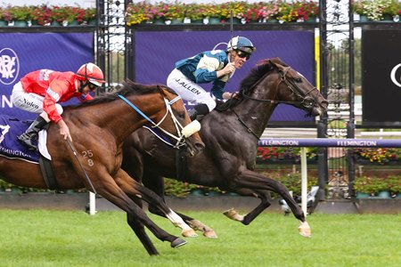 Hitotsu, Converge Land Grade 1s for International Sires - BloodHorse