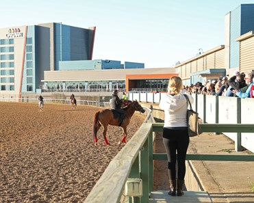 Whitmore - Horse Profile - BloodHorse