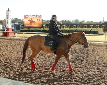 Whitmore - Horse Profile - BloodHorse
