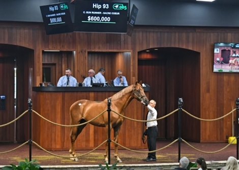 Nass Strikes for $600,000 Gun Runner colt - BloodHorse