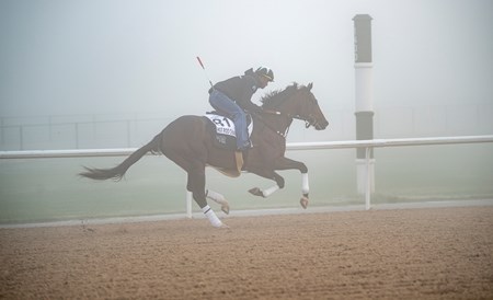 Hot Rod Charlie - Horse Profile - BloodHorse