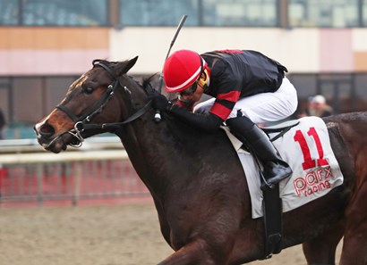 Hollywood Jet - Horse Profile - BloodHorse