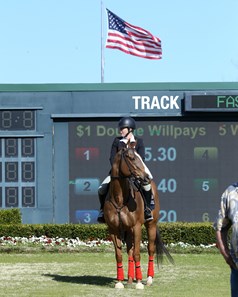 Whitmore - Horse Profile - BloodHorse