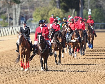 Whitmore - Horse Profile - BloodHorse