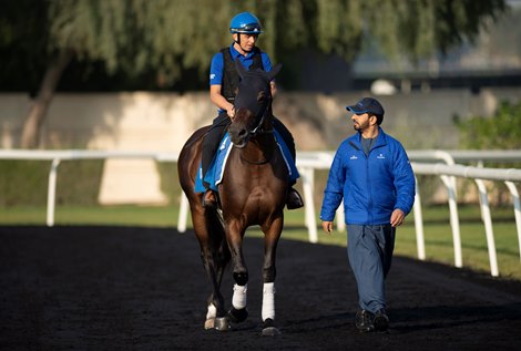 Real World Aims for Second Zabeel Mile Victory - BloodHorse