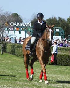 Whitmore - Horse Profile - BloodHorse