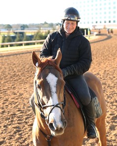 Whitmore - Horse Profile - BloodHorse