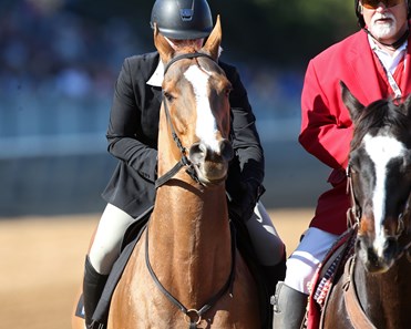 Whitmore - Horse Profile - BloodHorse