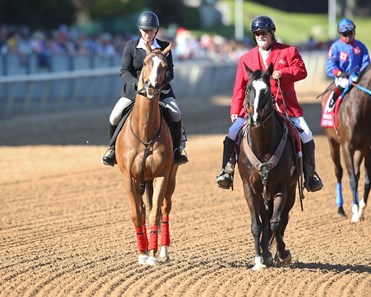 Whitmore - Horse Profile - BloodHorse