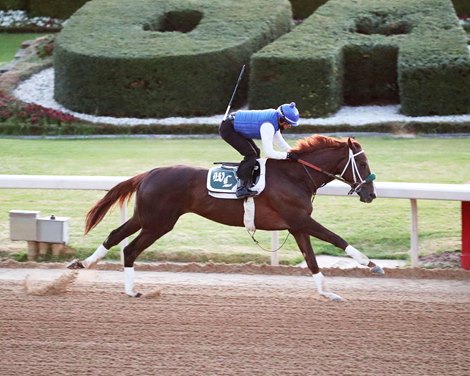 Secret Oath Posts Final Work Before Arkansas Derby - BloodHorse