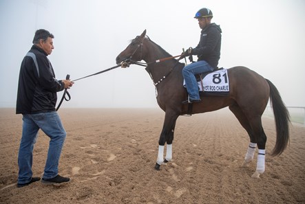 Hot Rod Charlie - Horse Profile - BloodHorse