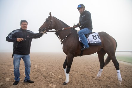 Hot Rod Charlie - Horse Profile - BloodHorse