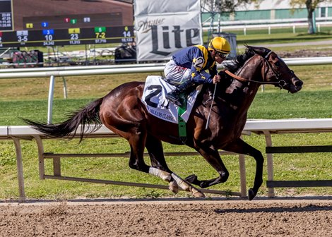 Favored Olympiad Wins New Orleans Classic - BloodHorse
