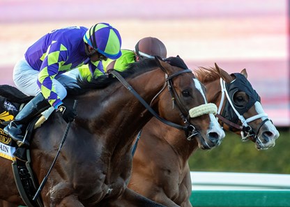 Express Train - Horse Profile - BloodHorse