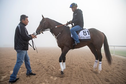 Hot Rod Charlie - Horse Profile - BloodHorse