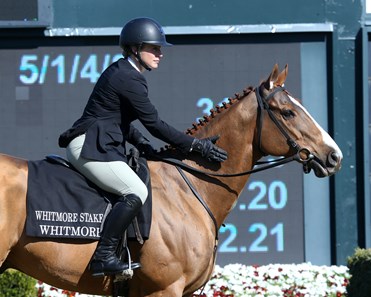 Whitmore - Horse Profile - BloodHorse
