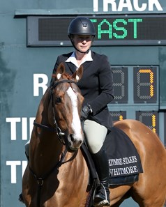 Whitmore - Horse Profile - BloodHorse