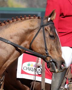 Whitmore - Horse Profile - BloodHorse