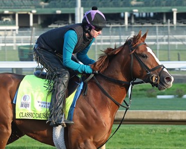 Classic Causeway - Horse Profile - BloodHorse