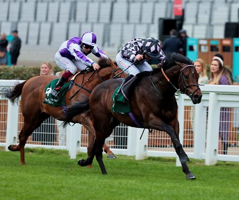 Go Bears Go Secures Commonwealth Cup Trial Stakes Win - BloodHorse