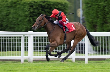 Emily Upjohn (GB) - Horse Profile - BloodHorse