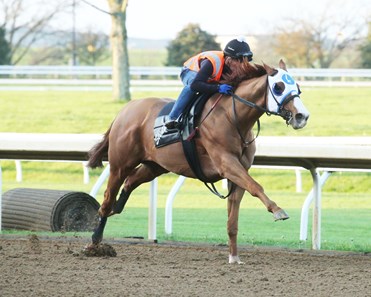 Mystic Guide - Horse Profile - BloodHorse
