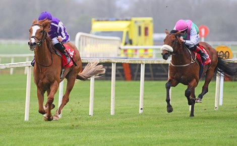 Toy Becomes Eighth Winner for Blue Hen Mare - BloodHorse