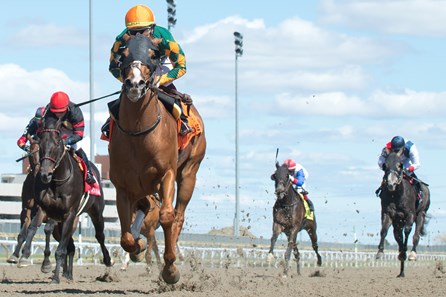 Arzak - Horse Profile - BloodHorse