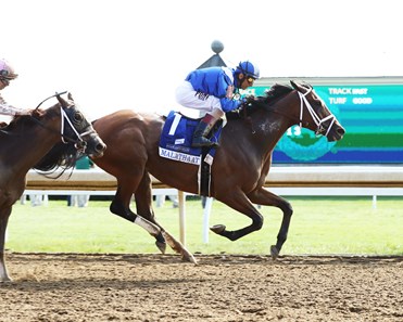 Malathaat - Horse Profile - BloodHorse