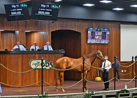 Justify Colt Brings $600K Early at OBS Spring Sale - BloodHorse