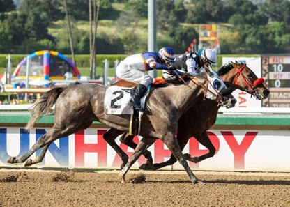 Power Surge - Horse Profile - BloodHorse