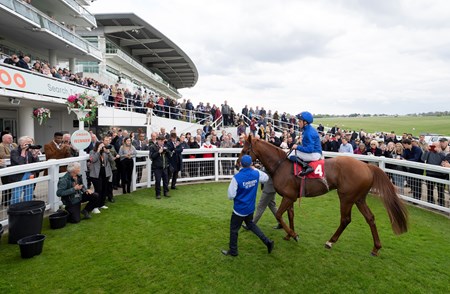 Nahanni (GB) - Horse Profile - BloodHorse