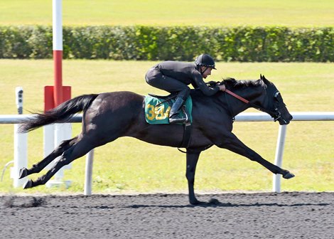 Tapwrit and Mor Spirit Colts Lead Day 3 Breeze Show - BloodHorse