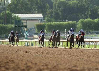 Power Surge - Horse Profile - BloodHorse