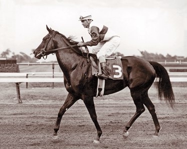 Ruffian: A Photographic Tribute - Slideshow - BloodHorse