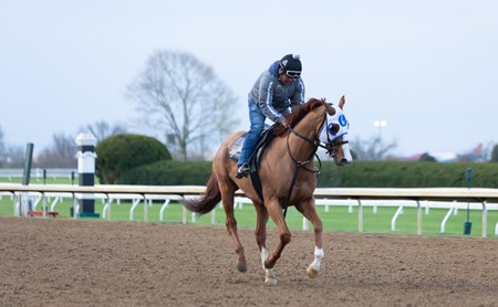 Mystic Guide - Horse Profile - BloodHorse