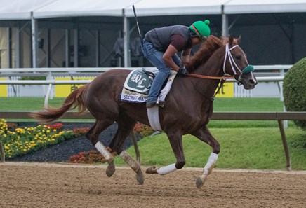 Secret Oath - Horse Profile - BloodHorse