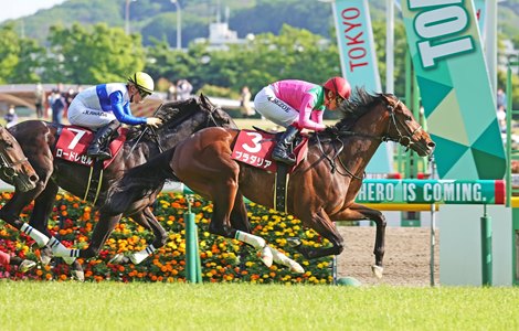 Deep Impact Has Five Legit Contenders in Japanese Derby - BloodHorse