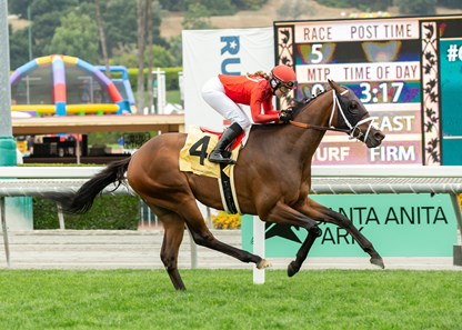 Bally's Charm - Horse Profile - BloodHorse